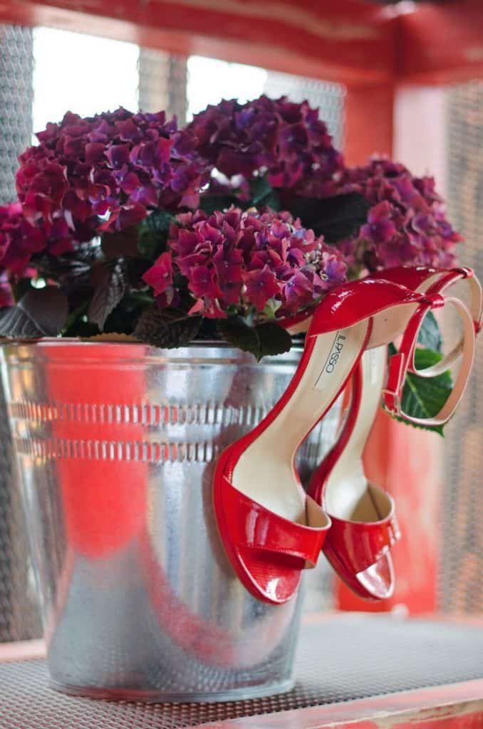 Il Passo a devenit oficial producator de incaltaminte - danielaniculi.ro